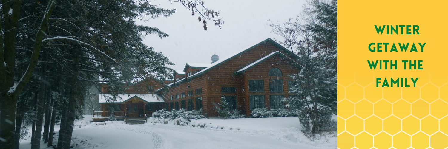 ⋆ BugBee Hive Resort